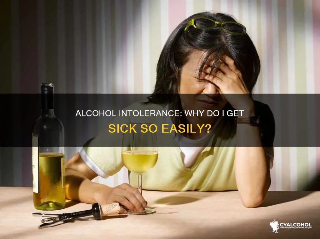 Alcohol Intolerance: Why Do I Get Sick So Easily? | CyAlcohol