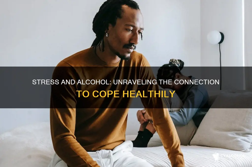 Stress And Alcohol: Unraveling The Connection To Cope Healthily | CyAlcohol