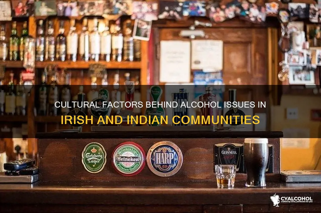 Cultural Factors Behind Alcohol Issues In Irish And Indian Communities ...