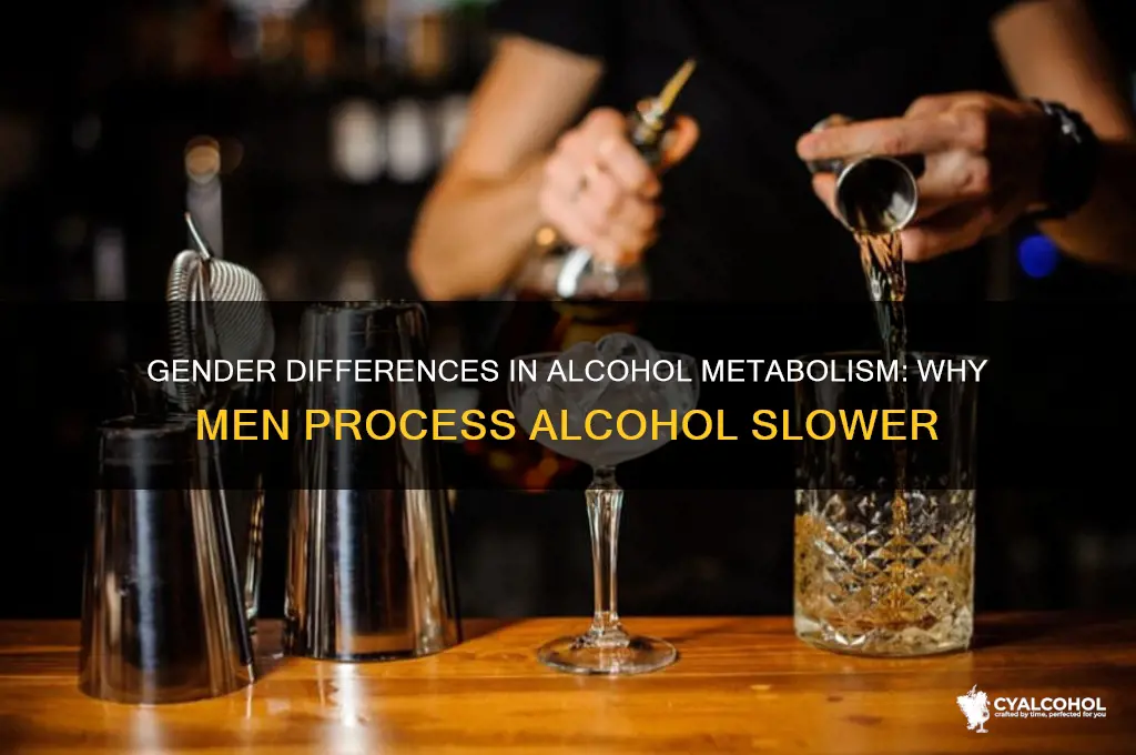 Gender Differences In Alcohol Metabolism: Why Men Process Alcohol ...