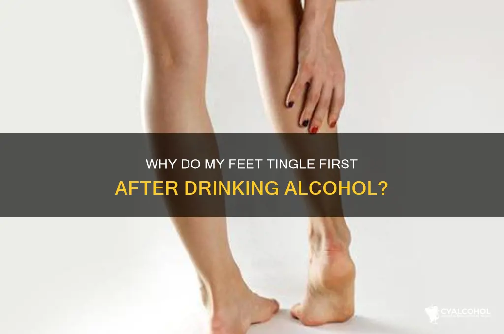 Why Do My Feet Tingle First After Drinking Alcohol? | CyAlcohol