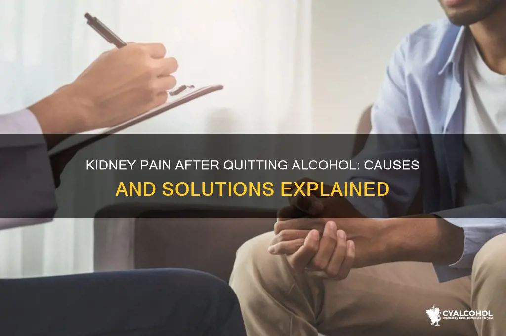 Kidney Pain After Quitting Alcohol: Causes And Solutions Explained ...