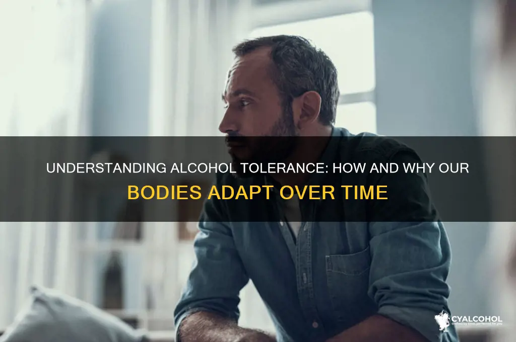 Understanding Alcohol Tolerance: How And Why Our Bodies Adapt Over Time ...