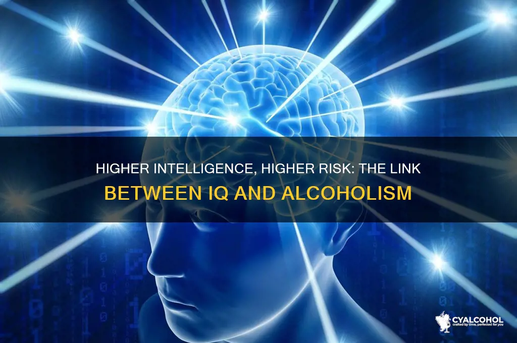Higher Intelligence, Higher Risk: The Link Between Iq And Alcoholism ...