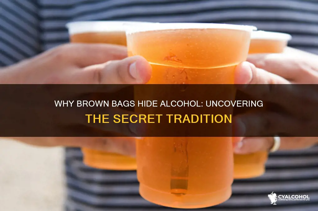 Why Brown Bags Hide Alcohol: Uncovering The Secret Tradition | CyAlcohol