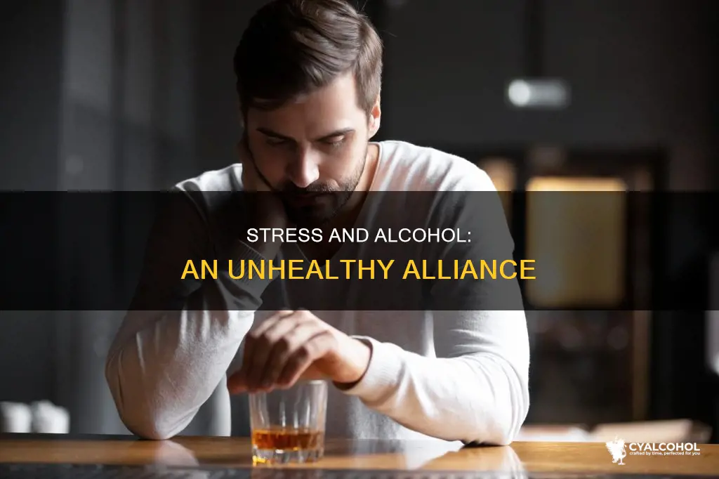 Stress And Alcohol: An Unhealthy Alliance | CyAlcohol
