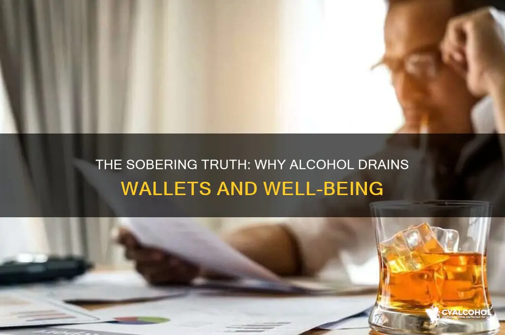 The Sobering Truth: Why Alcohol Drains Wallets And Well-Being | CyAlcohol