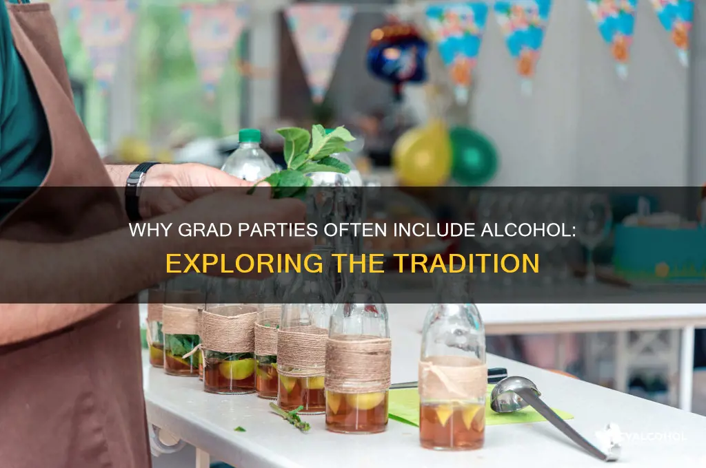 Why Grad Parties Often Include Alcohol: Exploring The Tradition | CyAlcohol