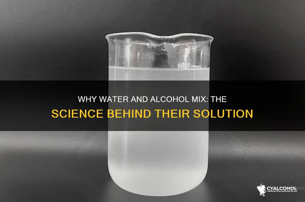Why Water And Alcohol Mix: The Science Behind Their Solution | CyAlcohol