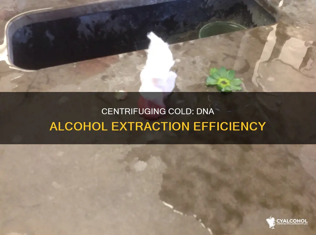 Centrifuging Cold: Dna Alcohol Extraction Efficiency | CyAlcohol