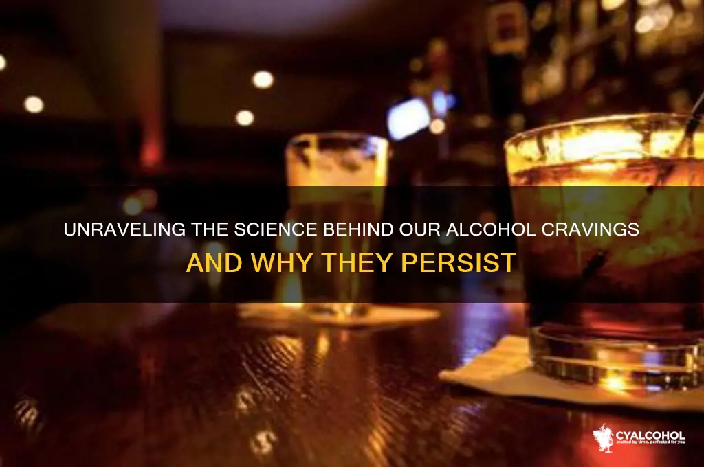Unraveling The Science Behind Our Alcohol Cravings And Why They Persist ...