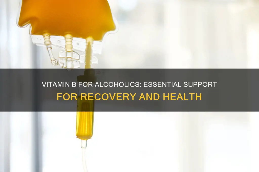 Vitamin B For Alcoholics: Essential Support For Recovery And Health ...