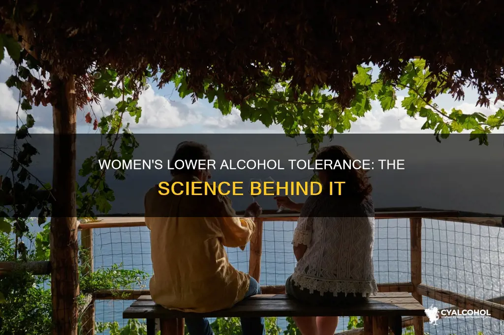 Women's Lower Alcohol Tolerance: The Science Behind It | CyAlcohol