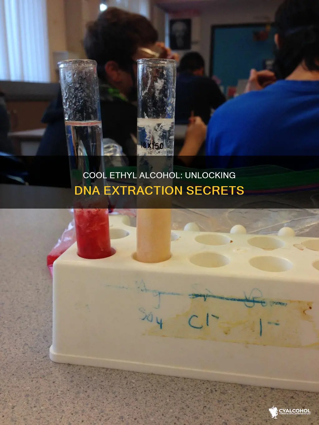 Cool Ethyl Alcohol: Unlocking Dna Extraction Secrets | CyAlcohol