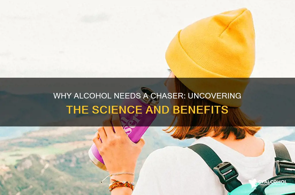 Why Alcohol Needs A Chaser: Uncovering The Science And Benefits | CyAlcohol