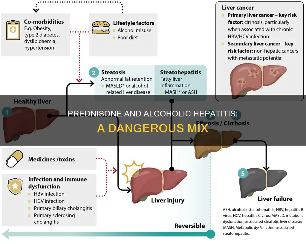 Prednisone And Alcoholic Hepatitis: A Dangerous Mix | CyAlcohol