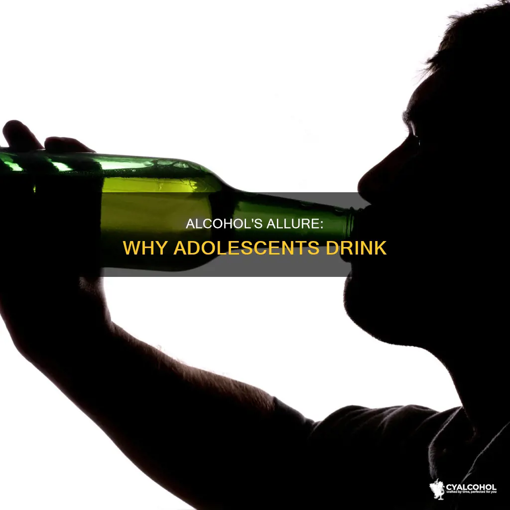 Alcohol's Allure: Why Adolescents Drink | CyAlcohol