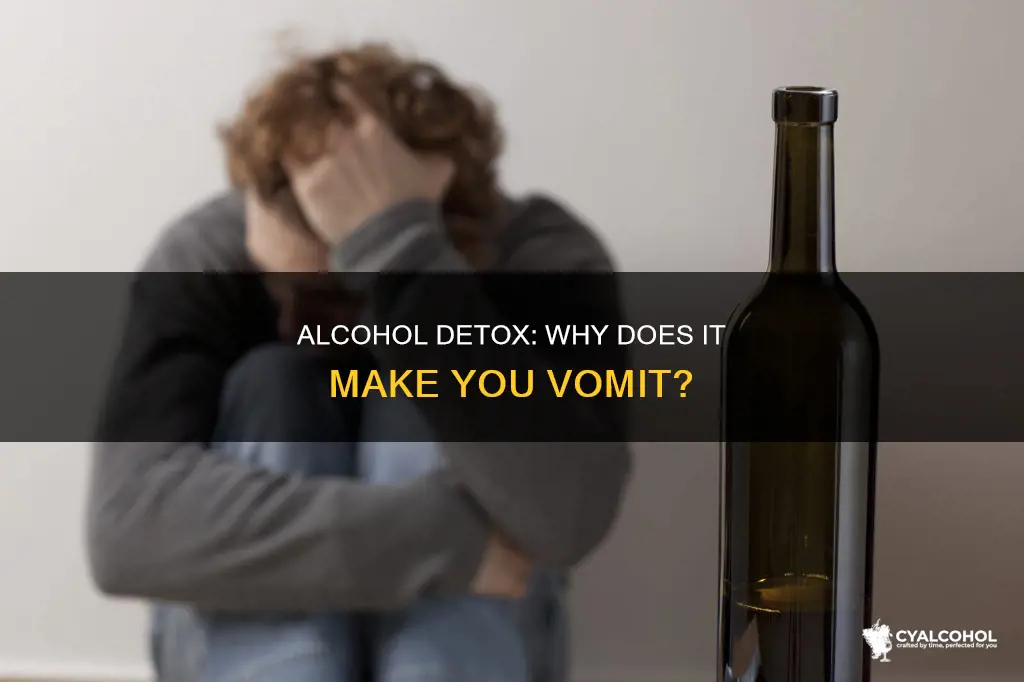 Alcohol Detox: Why Does It Make You Vomit? | CyAlcohol