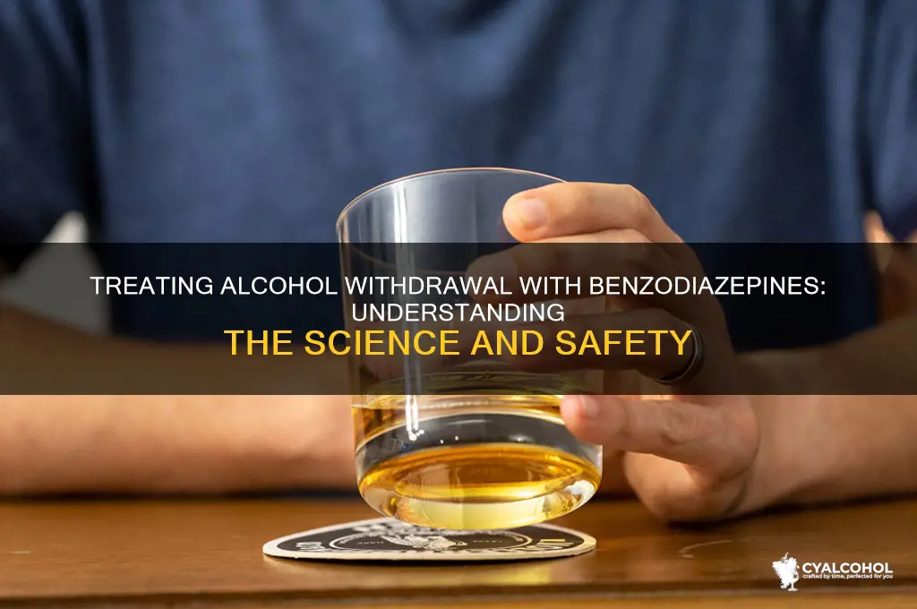 Treating Alcohol Withdrawal With Benzodiazepines: Understanding The ...
