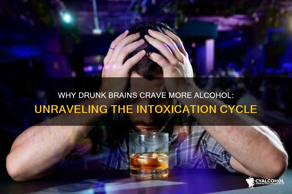 Why Drunk Brains Crave More Alcohol: Unraveling The Intoxication Cycle ...