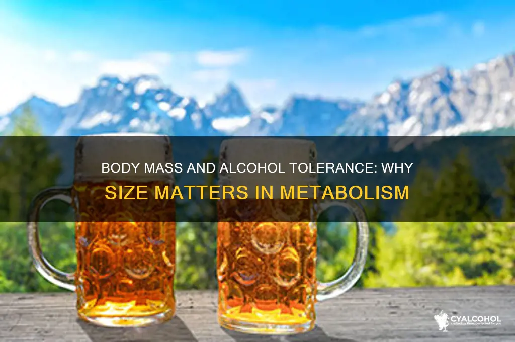 Body Mass And Alcohol Tolerance: Why Size Matters In Metabolism | CyAlcohol
