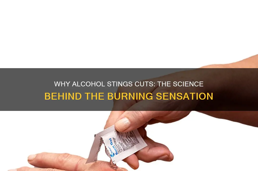 Why Alcohol Stings Cuts: The Science Behind The Burning Sensation ...