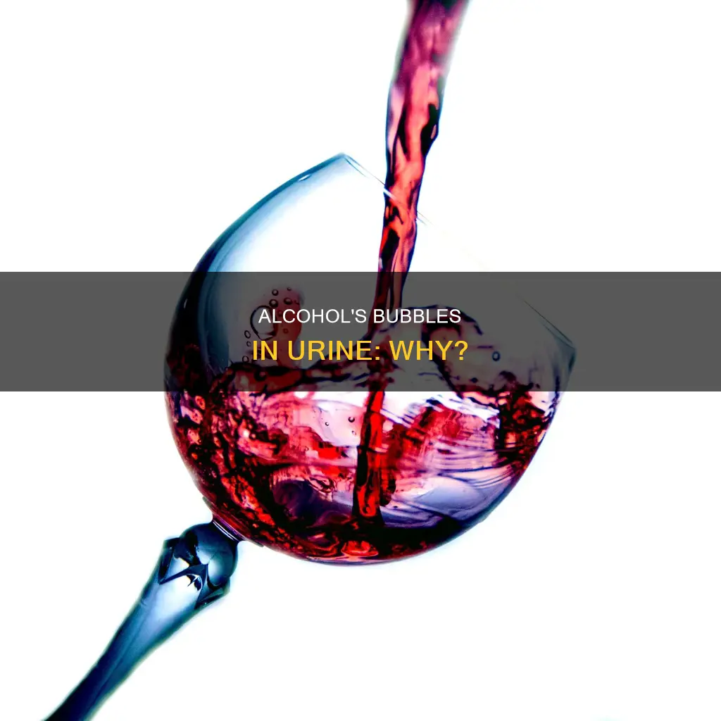 Alcohol's Bubbles In Urine: Why? | CyAlcohol