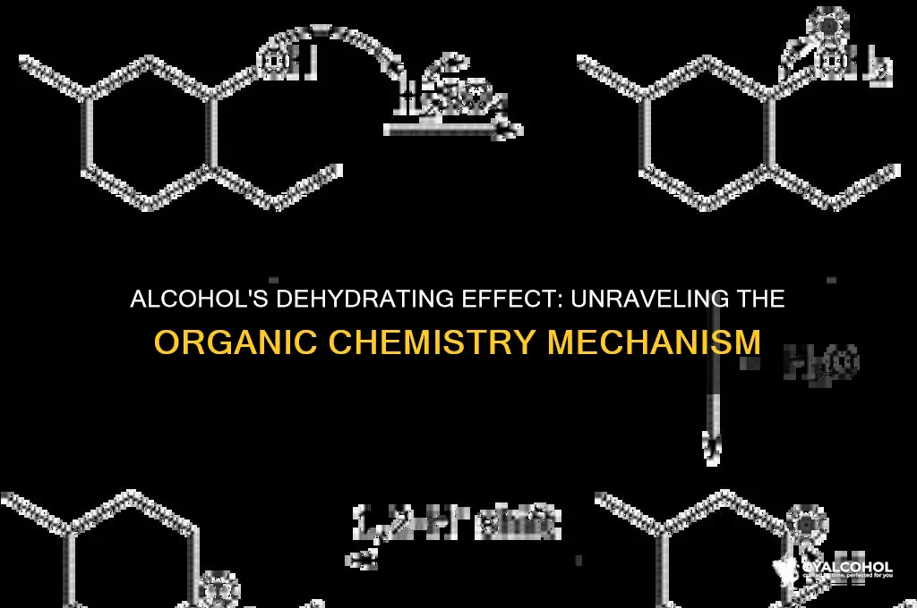Alcohol's Dehydrating Effect: Unraveling The Organic Chemistry ...