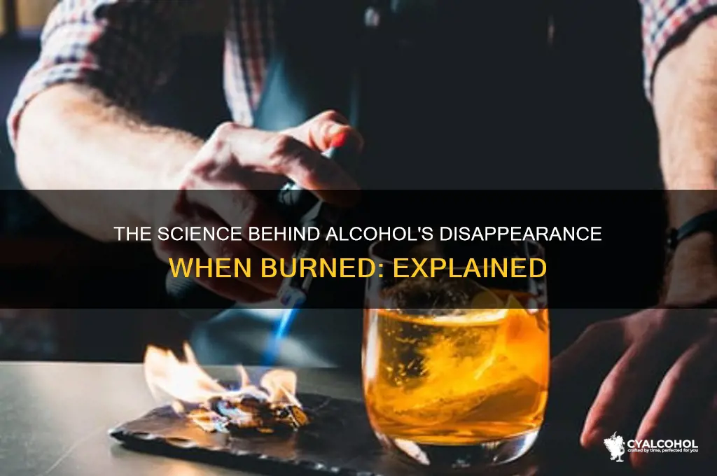 The Science Behind Alcohol's Disappearance When Burned: Explained ...