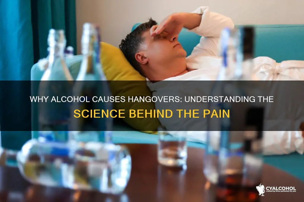 Why Alcohol Causes Hangovers: Understanding The Science Behind The Pain ...
