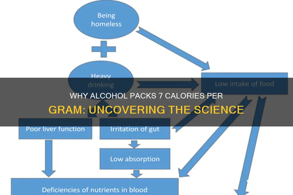 Why Alcohol Packs 7 Calories Per Gram: Uncovering The Science | CyAlcohol