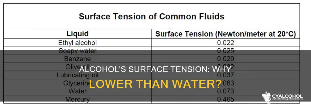 Alcohol's Surface Tension: Why Lower Than Water? | CyAlcohol
