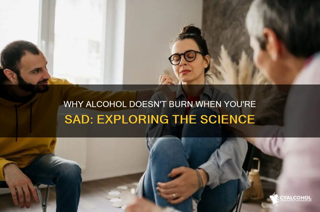 Why Alcohol Doesn't Burn When You're Sad: Exploring The Science | CyAlcohol