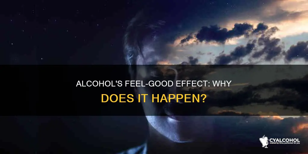 Alcohol's Feel-Good Effect: Why Does It Happen? | CyAlcohol