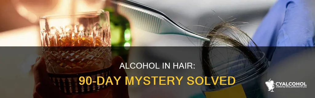 Alcohol In Hair: 90-Day Mystery Solved | CyAlcohol
