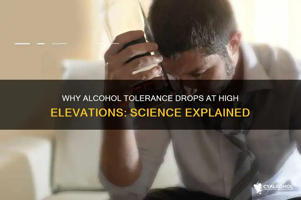 Why Alcohol Tolerance Drops At High Elevations: Science Explained ...