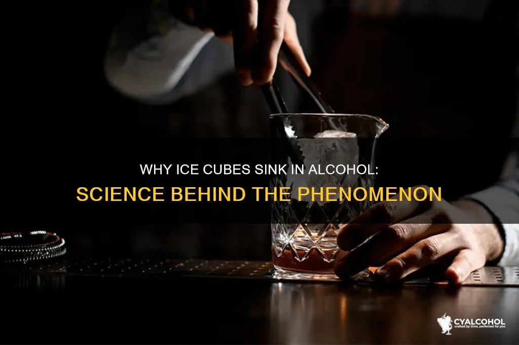 Why Ice Cubes Sink In Alcohol: Science Behind The Phenomenon | CyAlcohol