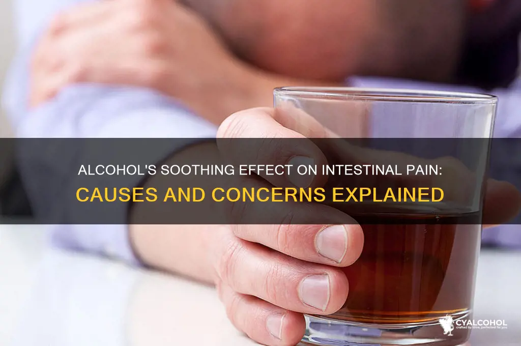 Alcohol's Soothing Effect On Intestinal Pain: Causes And Concerns ...