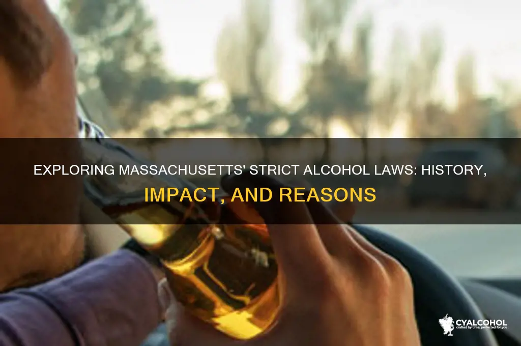 Exploring Massachusetts' Strict Alcohol Laws: History, Impact, And ...