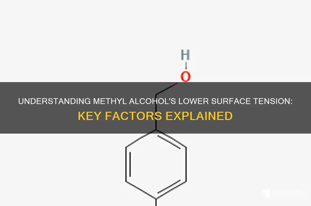 Understanding Methyl Alcohol's Lower Surface Tension: Key Factors ...
