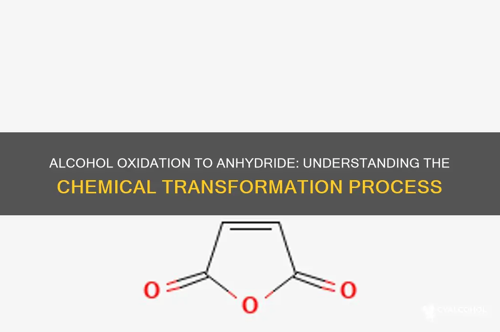 Alcohol Oxidation To Anhydride: Understanding The Chemical ...