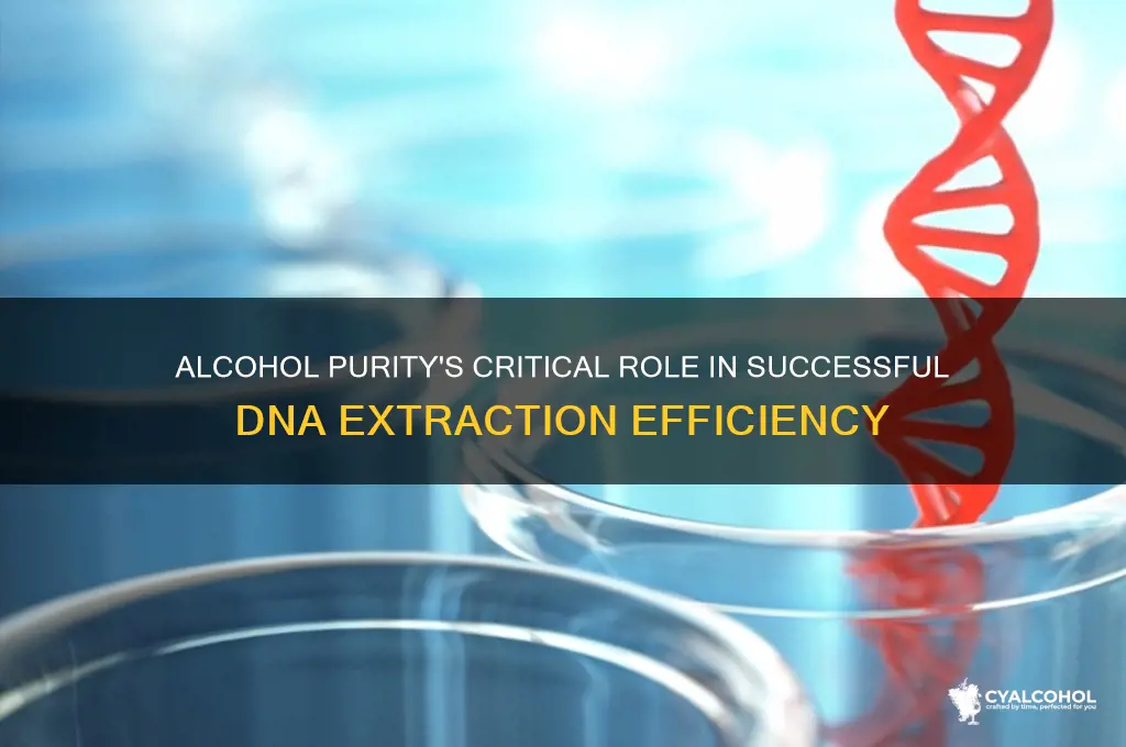 Alcohol Purity's Critical Role In Successful Dna Extraction Efficiency ...