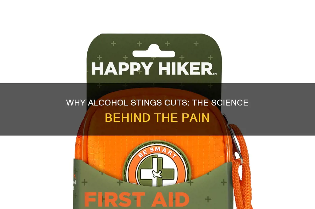 Why Alcohol Stings Cuts: The Science Behind The Pain | CyAlcohol