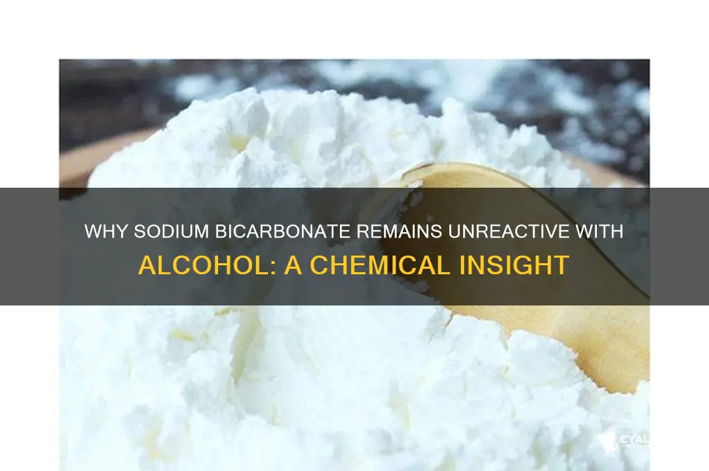 Why Sodium Bicarbonate Remains Unreactive With Alcohol: A Chemical ...