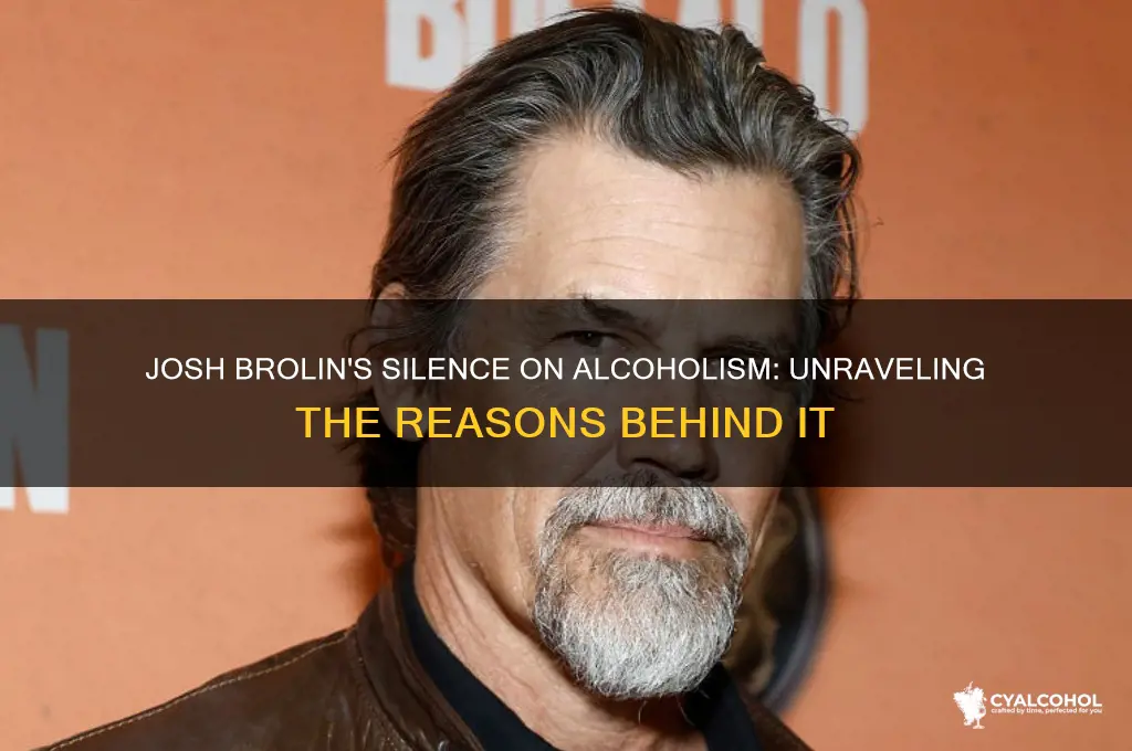 Josh Brolin's Silence On Alcoholism: Unraveling The Reasons Behind It ...