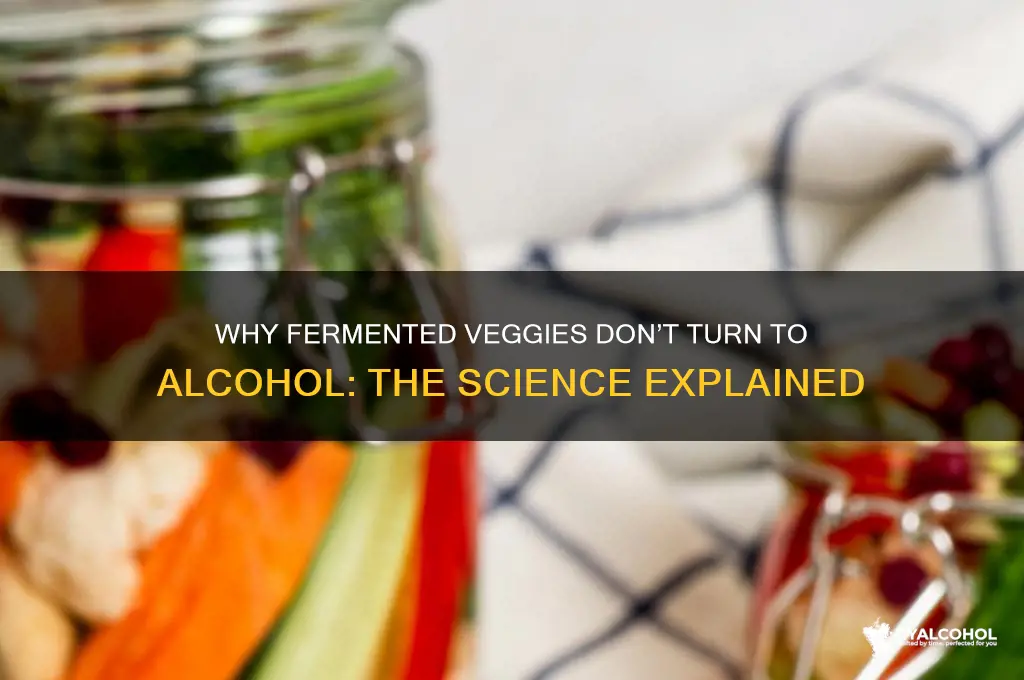 Why Fermented Veggies Don’T Turn To Alcohol: The Science Explained ...