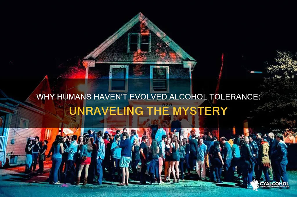 Why Humans Haven't Evolved Alcohol Tolerance: Unraveling The Mystery ...