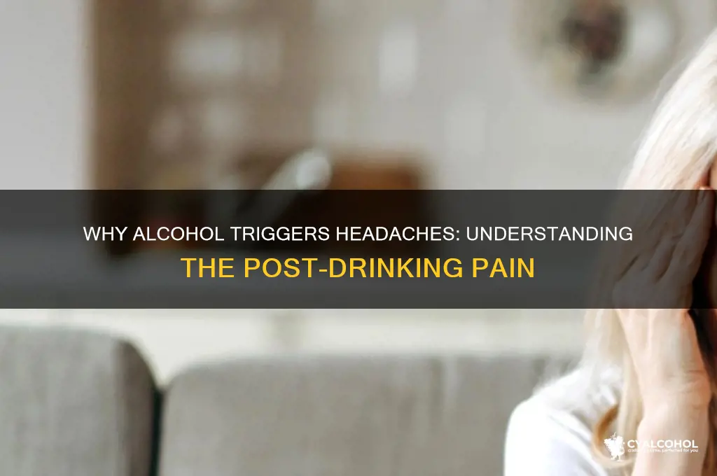 Why Alcohol Triggers Headaches: Understanding The Post-Drinking Pain ...