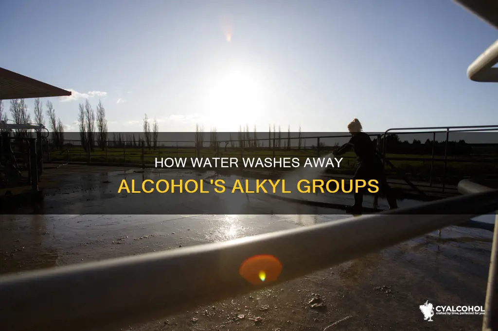 How Water Washes Away Alcohol's Alkyl Groups | CyAlcohol
