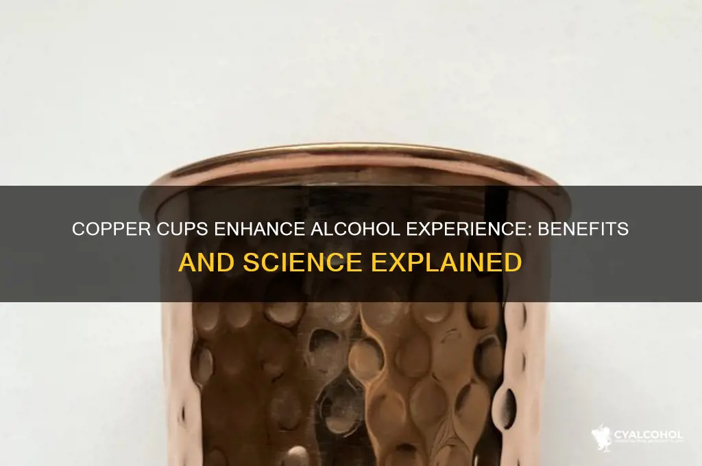 Copper Cups Enhance Alcohol Experience: Benefits And Science Explained ...